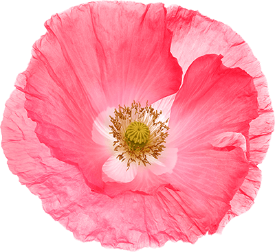 ACUVUE® Define My Look